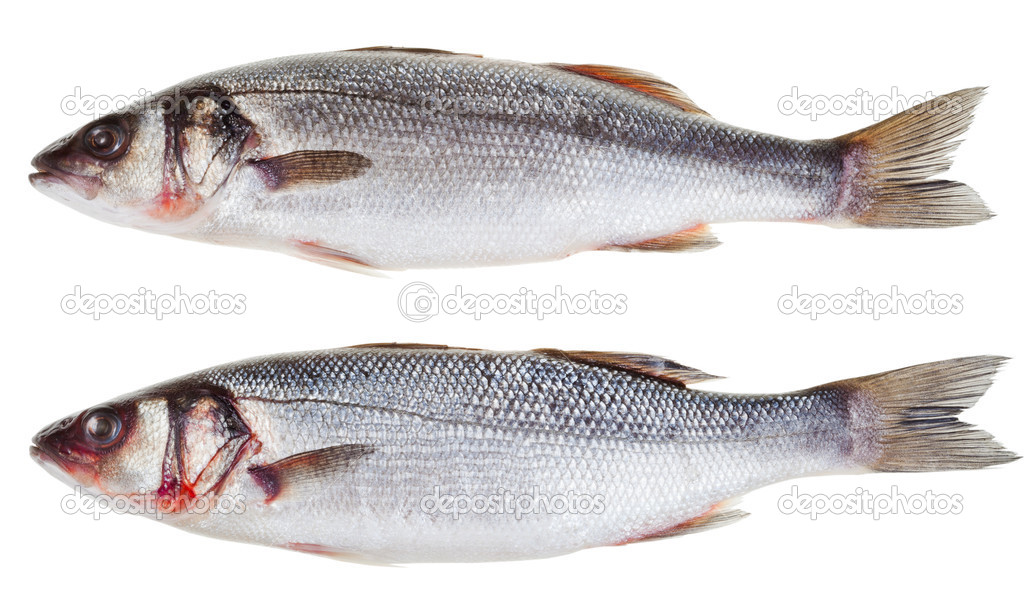Two raw seabass fishes ⬇ Stock Photo, Image by © vvoennyy #27660801