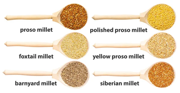 Types of millet Stock Photos, Royalty Free Types of millet Images ...