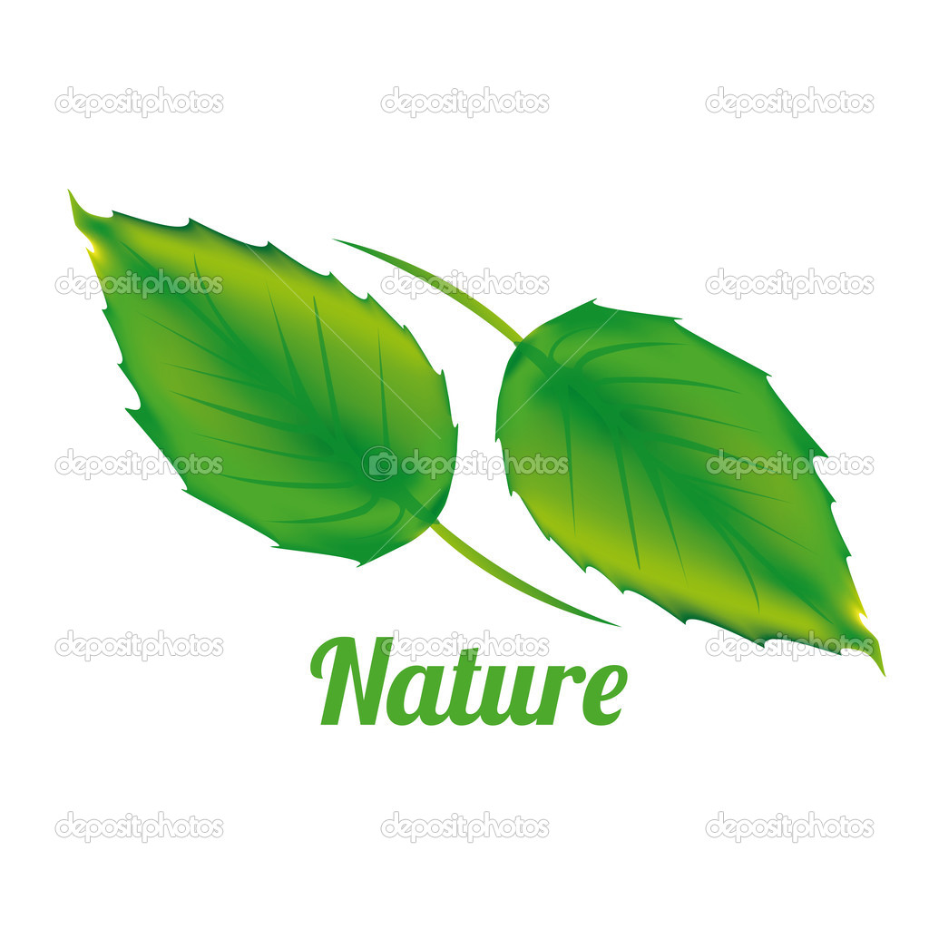 Nature design Stock Vector by ©grgroupstock 29824185