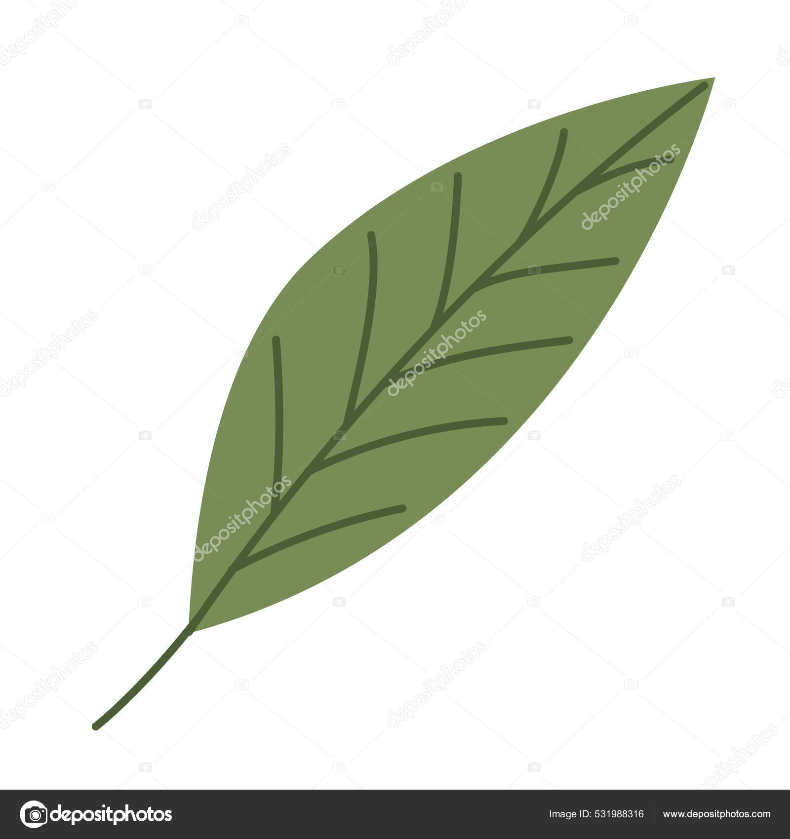 One green leaf Stock Vector by ©grgroupstock 531988316