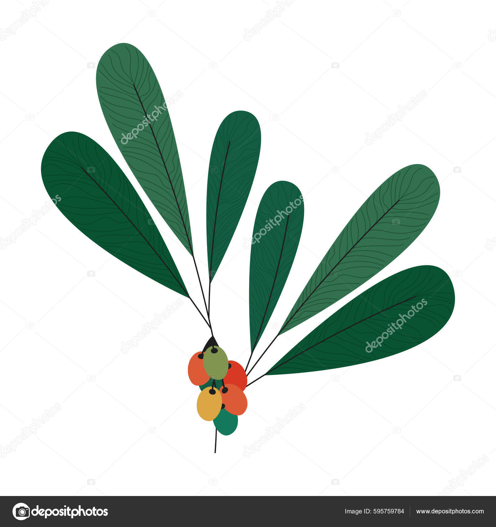 Coffee Tree Design White Stock Vector Image by ©grgroupstock #595759784