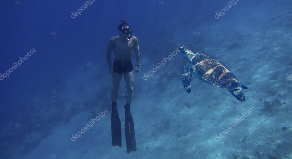 Free diver and turtle and panorama Stock Photo by ©thomaseder 16268507
