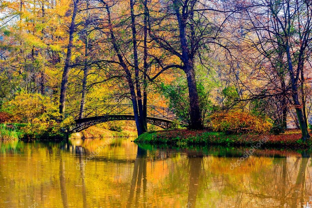 Autumn - Old bridge in autumn misty park Stock Photo by ©Gorilla 46704897