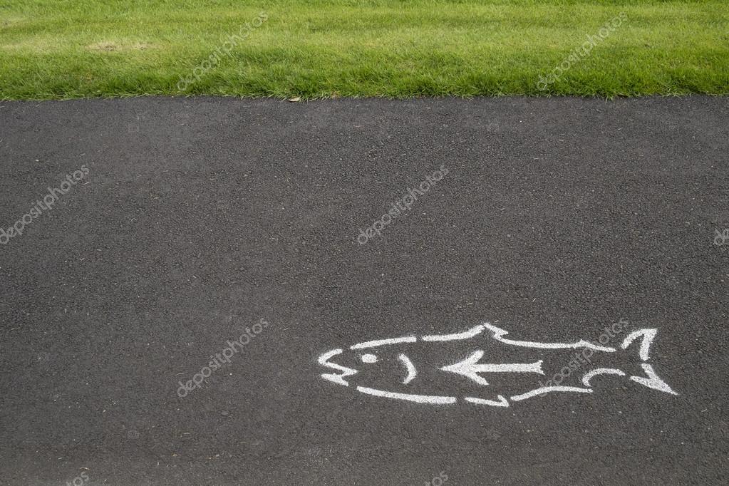 Fish and Arrow on Pavement Stock Photo by ©CCStockMedia 31588311