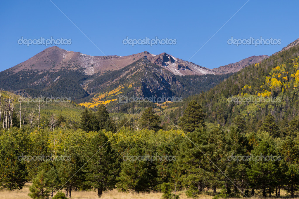 San Francisco Peaks Inner Basin