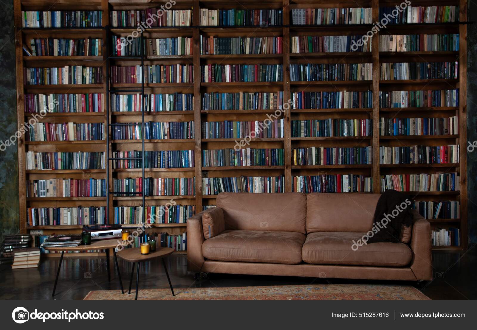 Bookshelves in the library. Large bookcase with lots of books. Sofa in ...