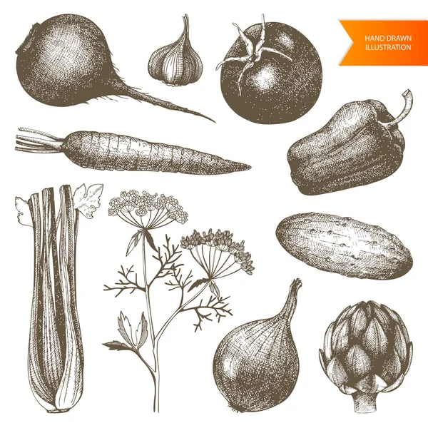 14,687 Paradicsom rajz Stock Illustrations | Depositphotos®