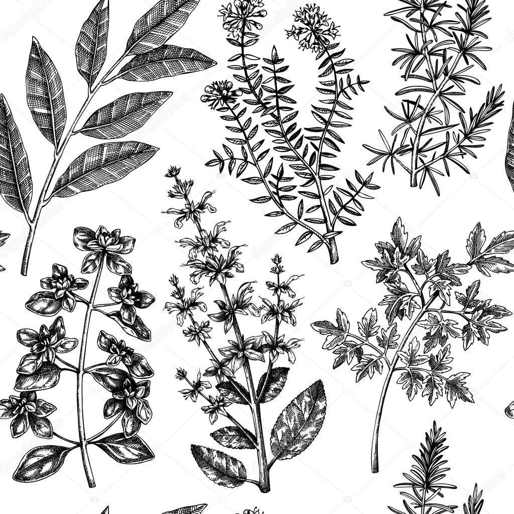 Fondo vectorial con hierbas y especias típicas de la cocina italiana ...