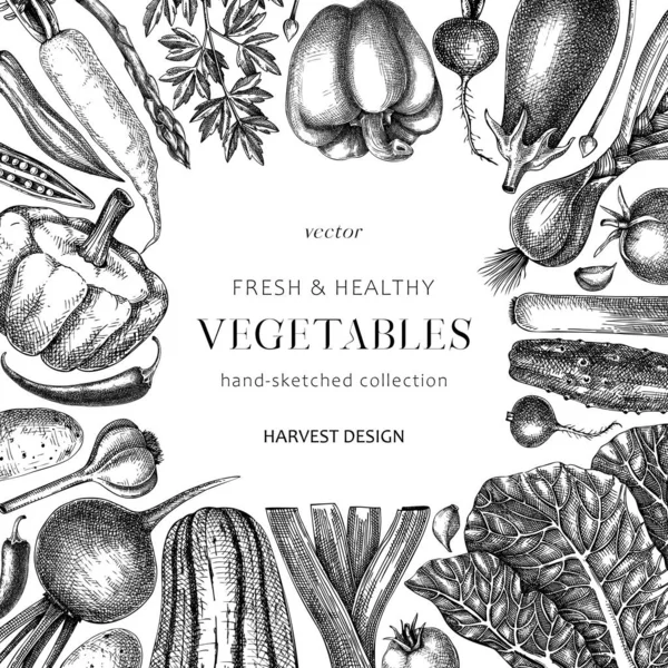 Hand Drawn Vegetables Vector Illustrations Hand Sketched Healthy Food ...