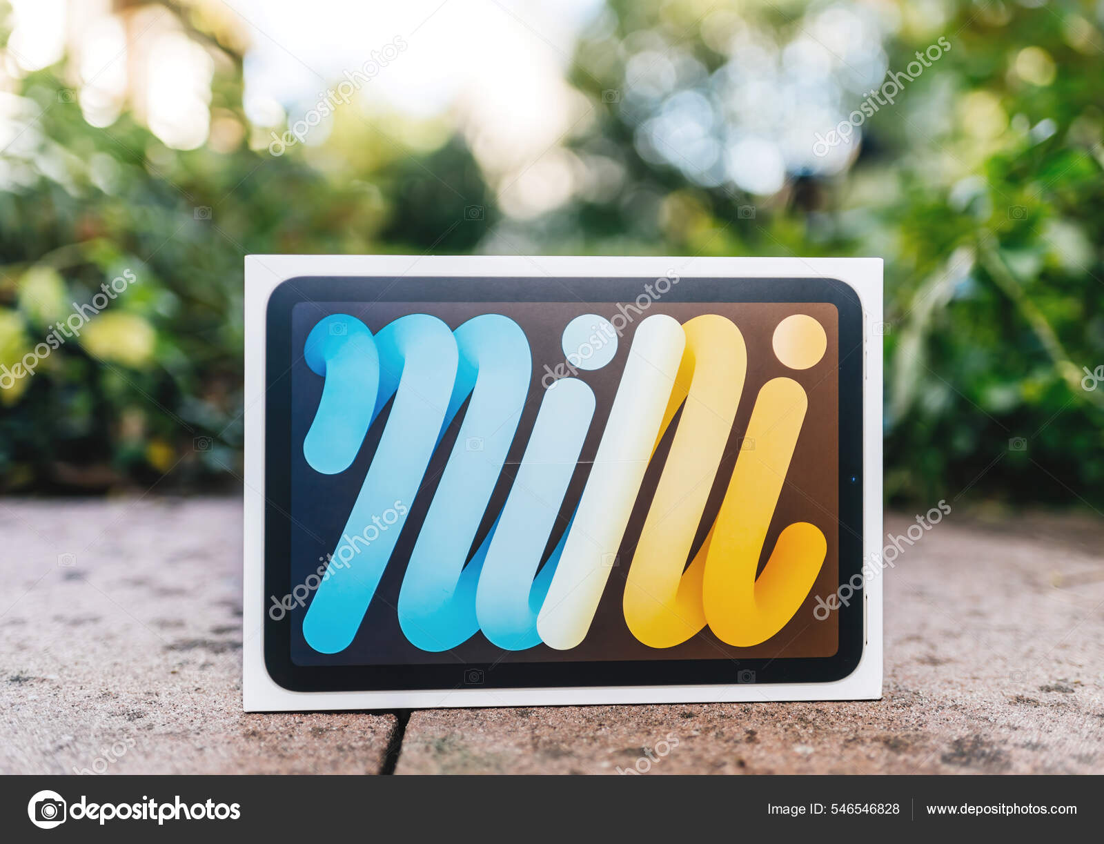 Ipad Mini Front View