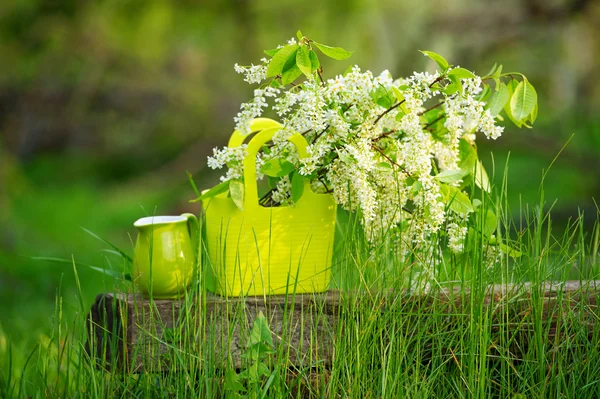 Still grass Stock Photos, Royalty Free Still grass Images | Depositphotos®