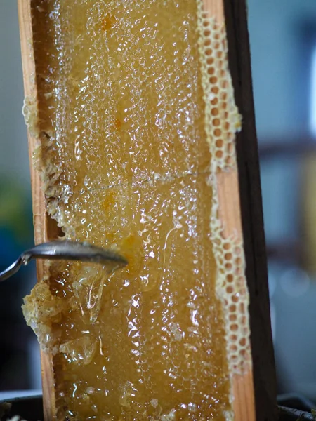 Natural raw honey being filtered ad dripped through a strainer to ...