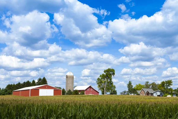 Field with Farm Buildings in the background Stock Photo by ©maxym 11964494