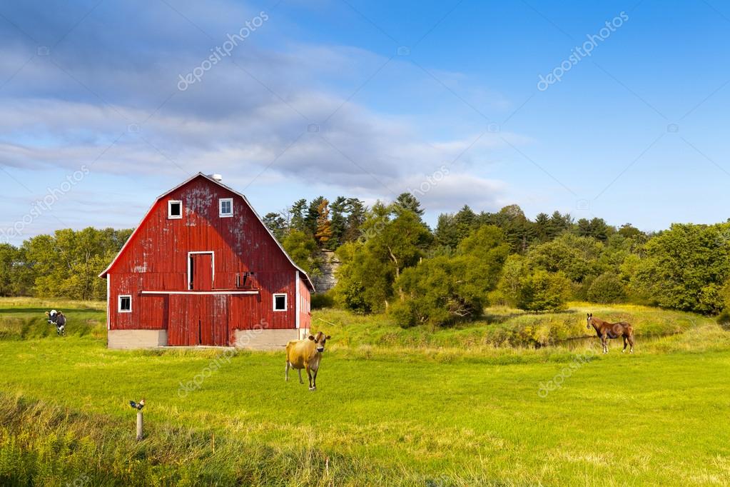 American Countryside With Blue Cloudy Sky — Stock Photo © maxym #17889251