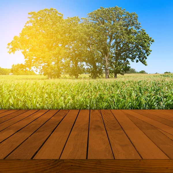 Old Table Surface With Blurred Countryside Landscape Stock Photo by ...