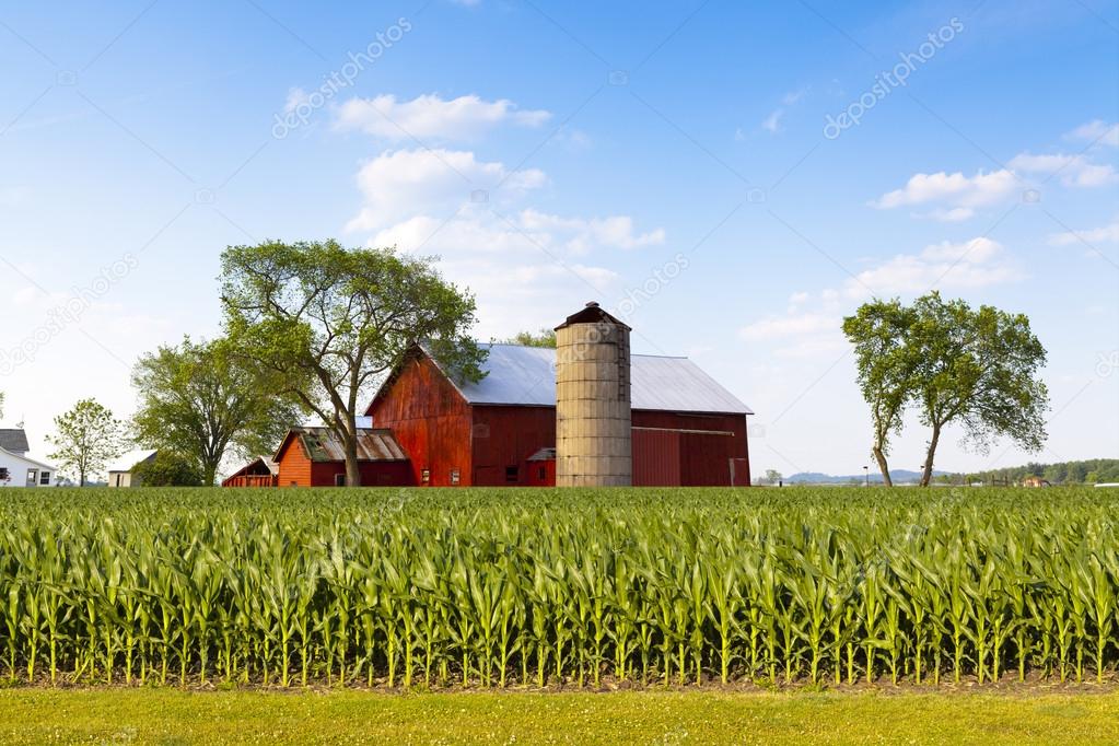 American Countryside — Stock Photo © maxym #25988827