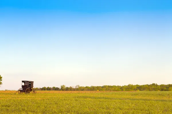 Amish fields Stock Photos, Royalty Free Amish fields Images | Depositphotos