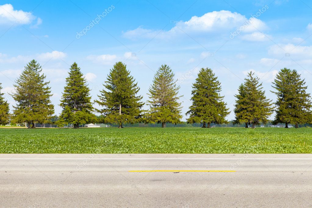 American Country Road Side View — Stock Photo © maxym #27209511