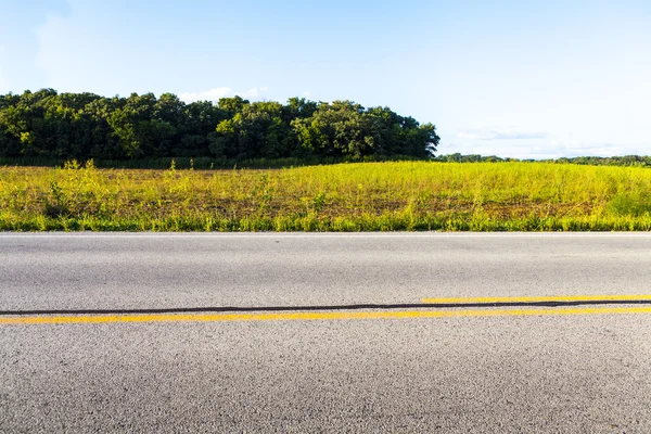 American Country Road Side View — Stock Photo © maxym #31848357