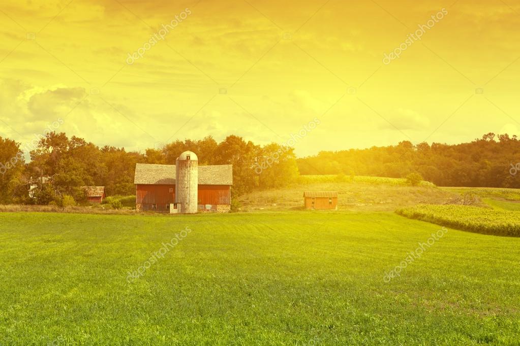 American Farm Wallpaper
