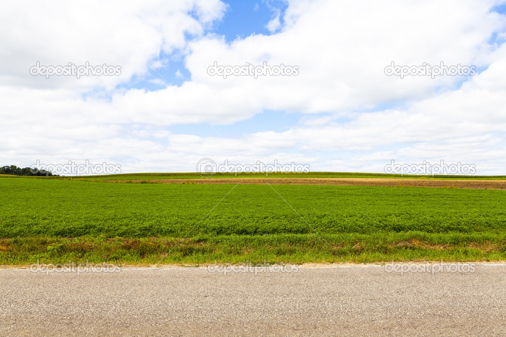 American Country Road Side View — Stock Photo © maxym #31846913