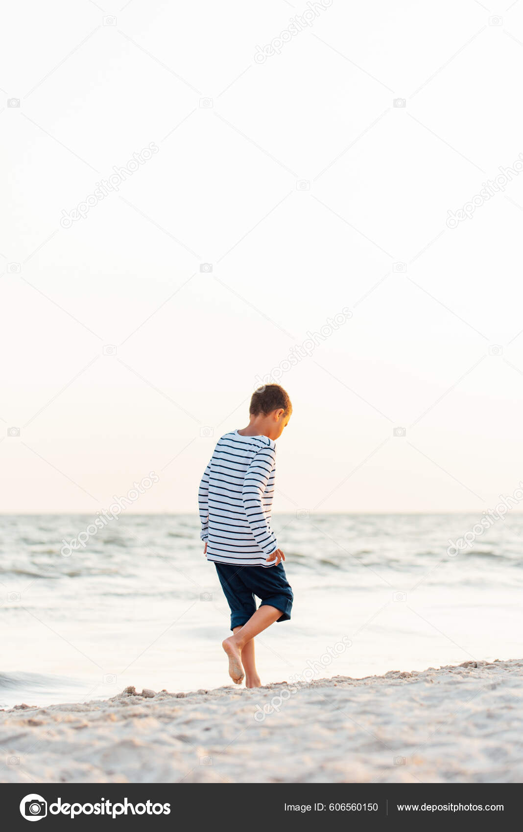 Summer Vacation Sea Boy Seaside Child Collect Shells Beach Having Stock ...