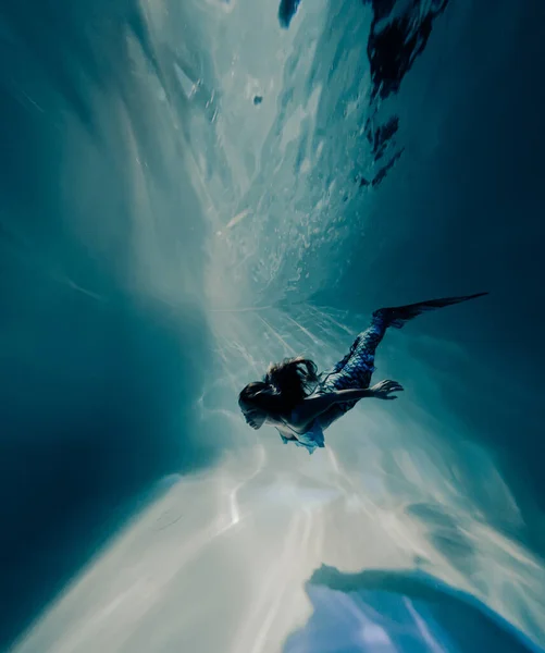 Beautiful Young Woman Mermaid Tail Swims Dives Sunlit Deep Water Stock ...