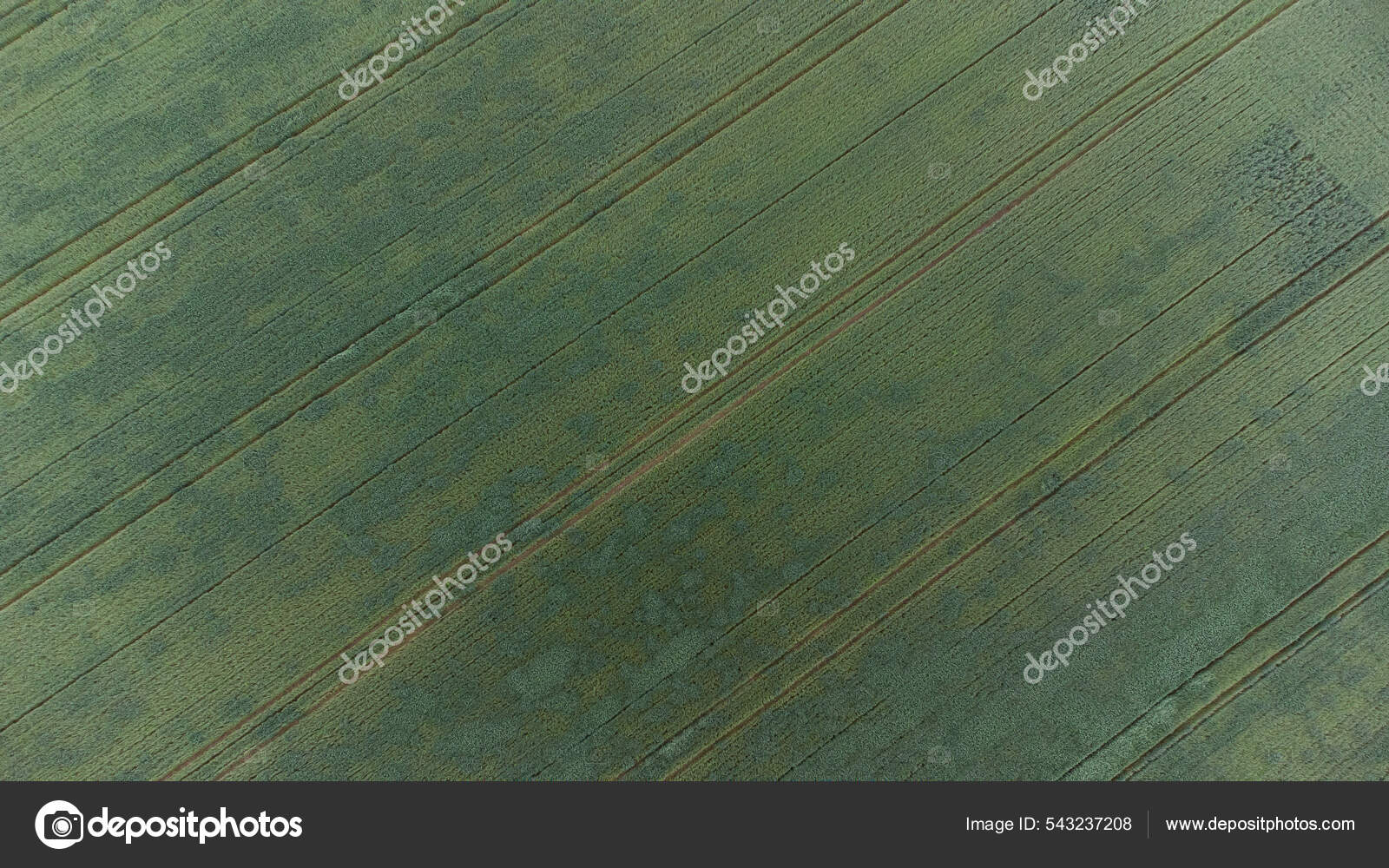 Rural landscape. Top down view of rural field meadow scene. Countryside ...