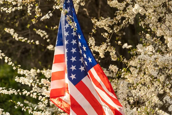 American flag spring Stock Photos, Royalty Free American flag spring ...