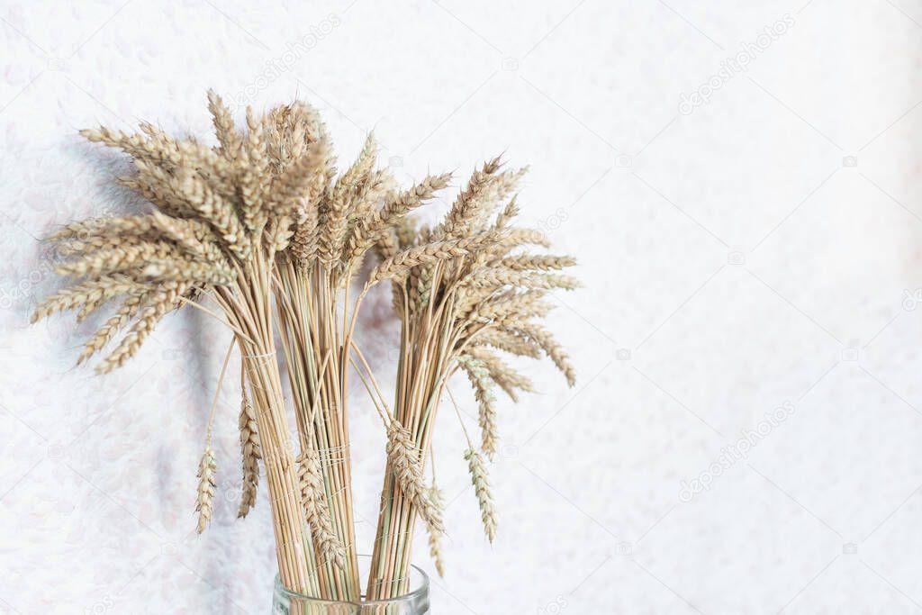 Un ramo de trigo amarillo en la pared blanca del pueblo, un lugar bajo ...