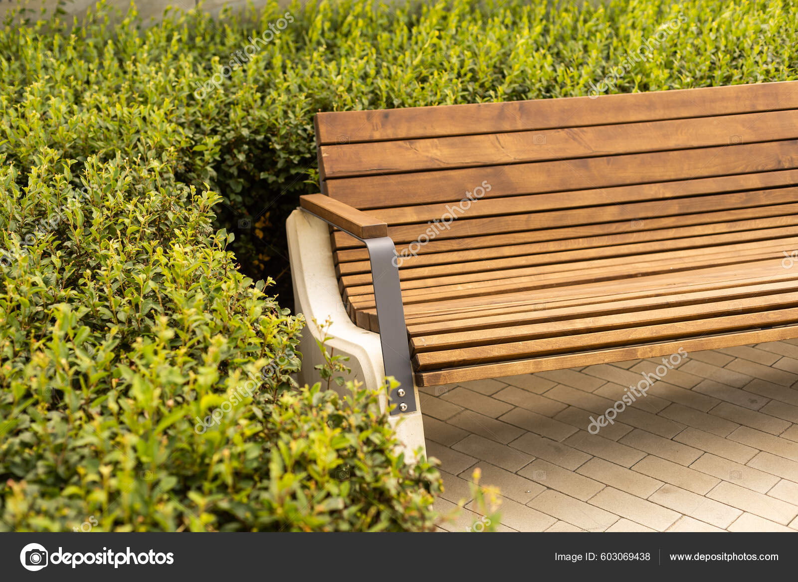 Modern Park Benches