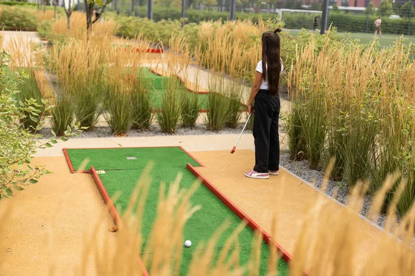 Mini Golf Ball Artificial Grass Summer Season Game — Stock Photo ...