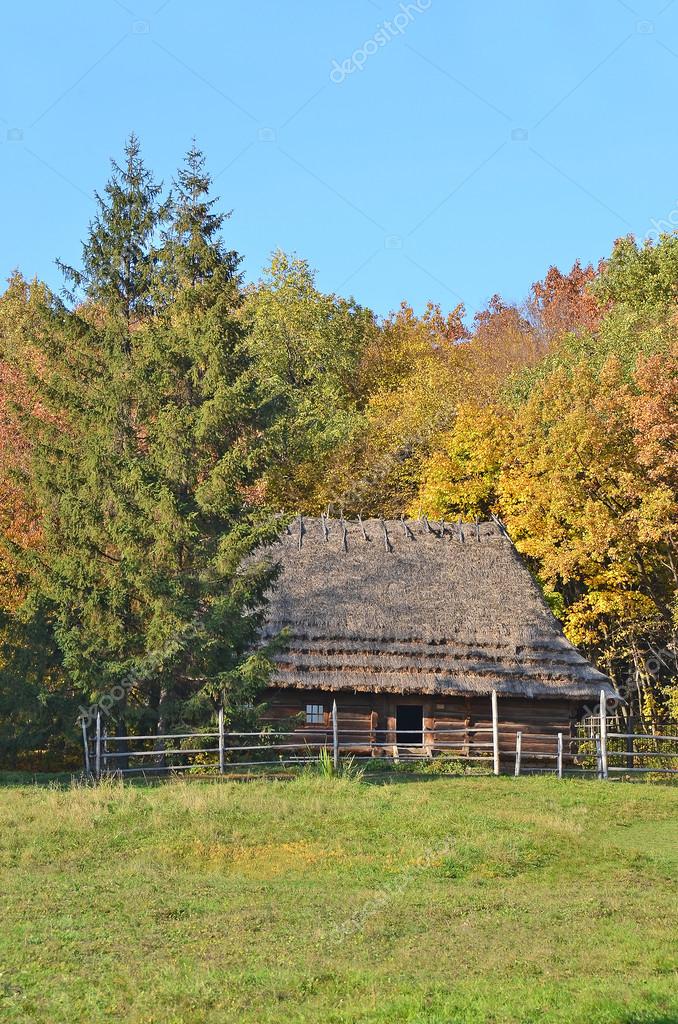 Ancient hut with a straw roof — Stock Photo © unkas #22692187