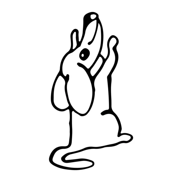 Friendly little dog. Drawing — Stock Vector © Rud-Volha #36924679