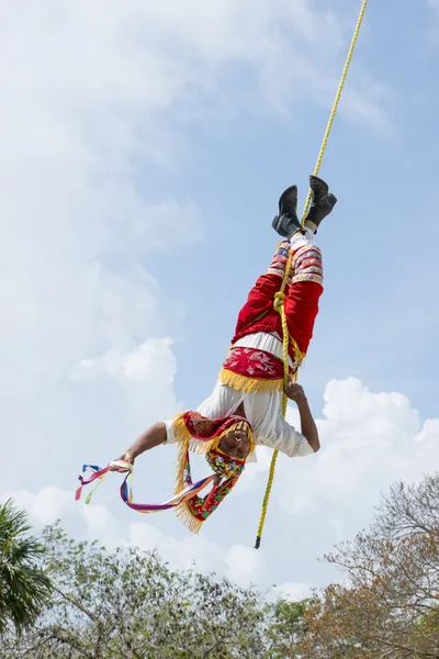 Danza de los Voladores - Stock Image - Everypixel