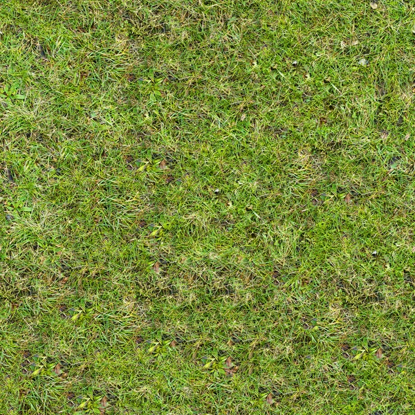Tile seamless yellow grass texture — Stock Photo © oleksandr #4540315