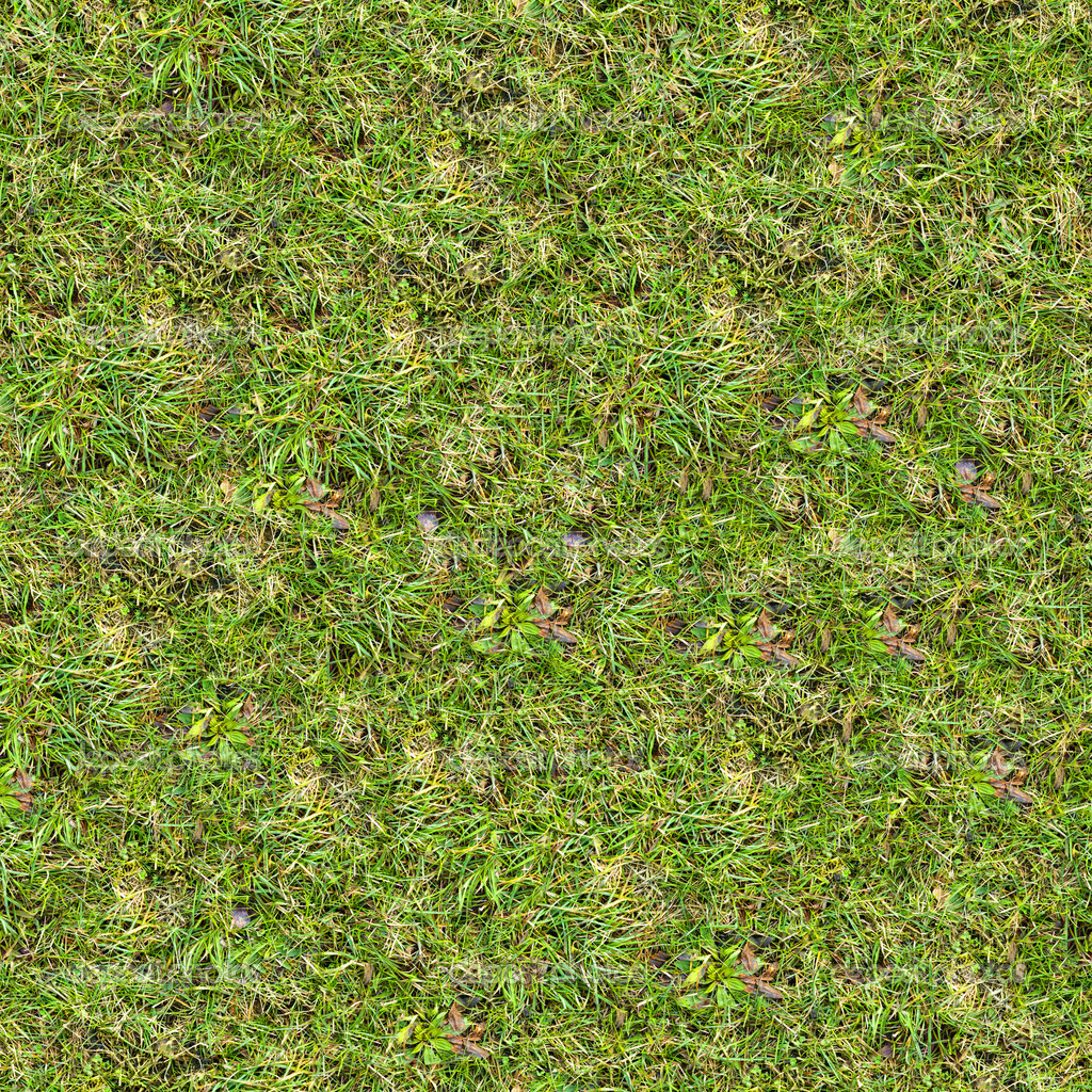 Grass Texture. — Stock Photo © tashatuvango #21300515