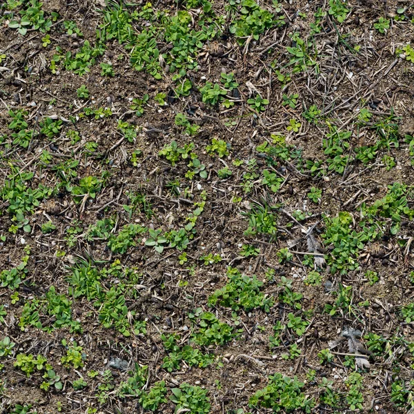 Seamless Texture of Brown Soil. — Stock Photo © tashatuvango #32028053