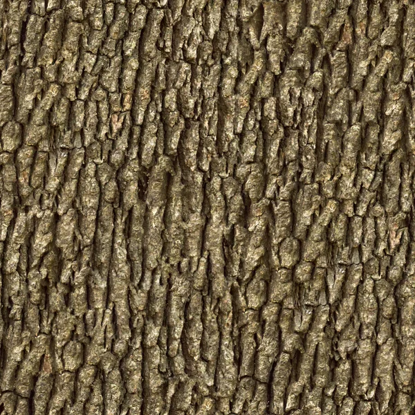Seamless Pine Bark Texture