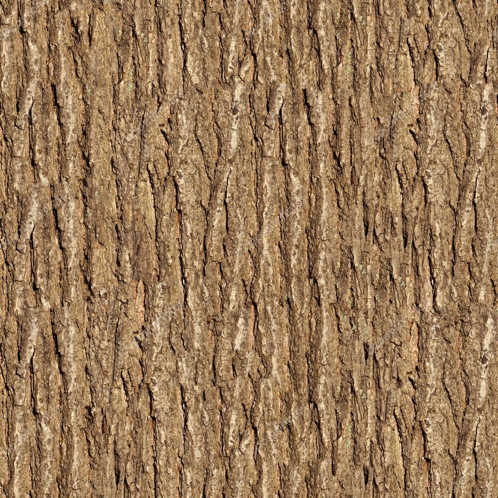 Corteccia di olmo. Texture senza cuciture . — Foto Stock © tashatuvango ...