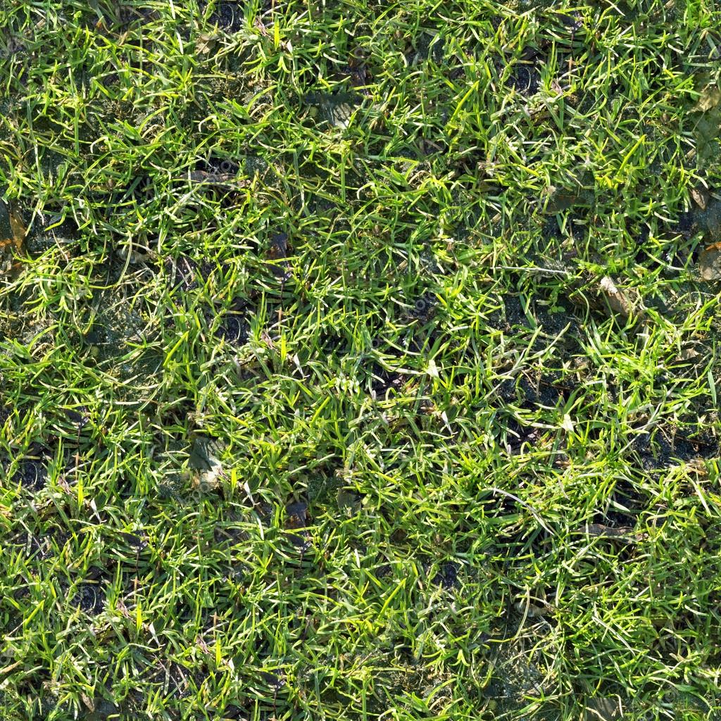 Grass. Seamless Texture. Stock Photo by ©tashatuvango 22586977