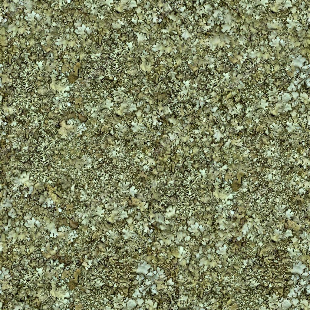 Moss Texture Tileable