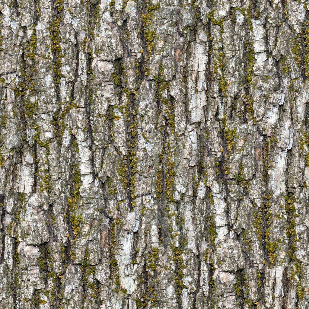 Bark. Seamless Texture. — Stock Photo © tashatuvango #22587377 Bark. Seamless Texture. — Stock Photo © tashatuvango #22587377