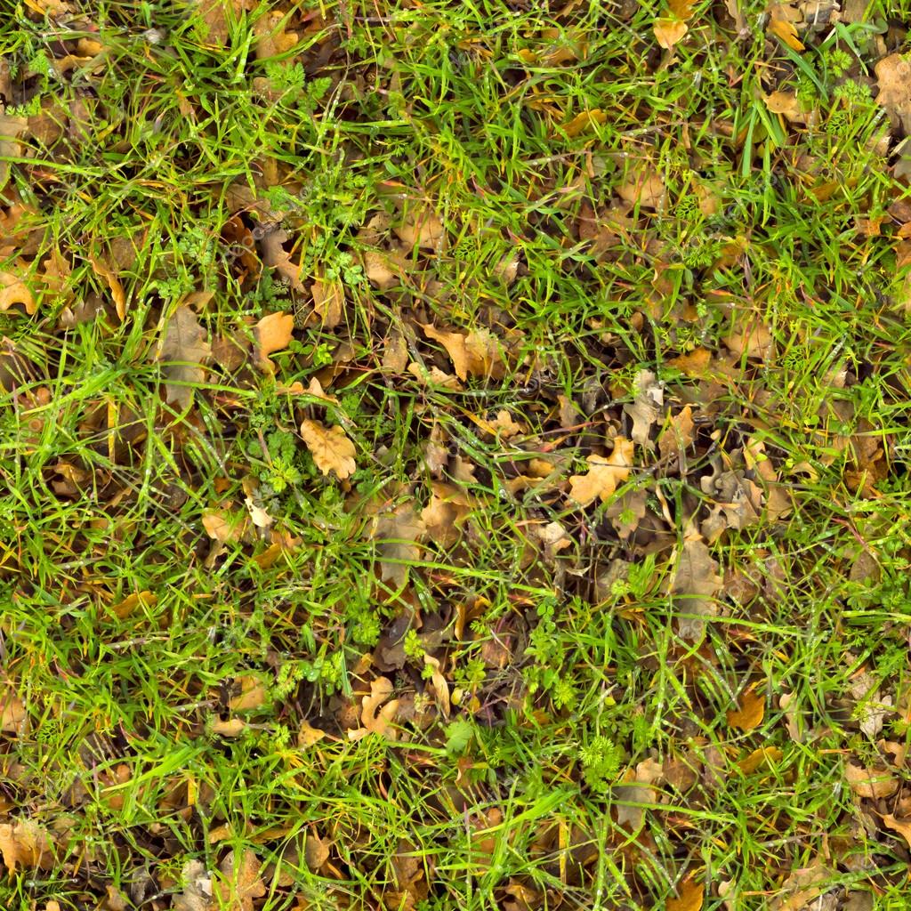 Forest Soil. Seamless Texture. — Stock Photo © tashatuvango #22588393