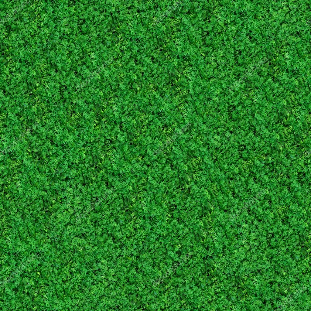 Seamless Texture. Green Meadow Grass. — Stock Photo © tashatuvango ...