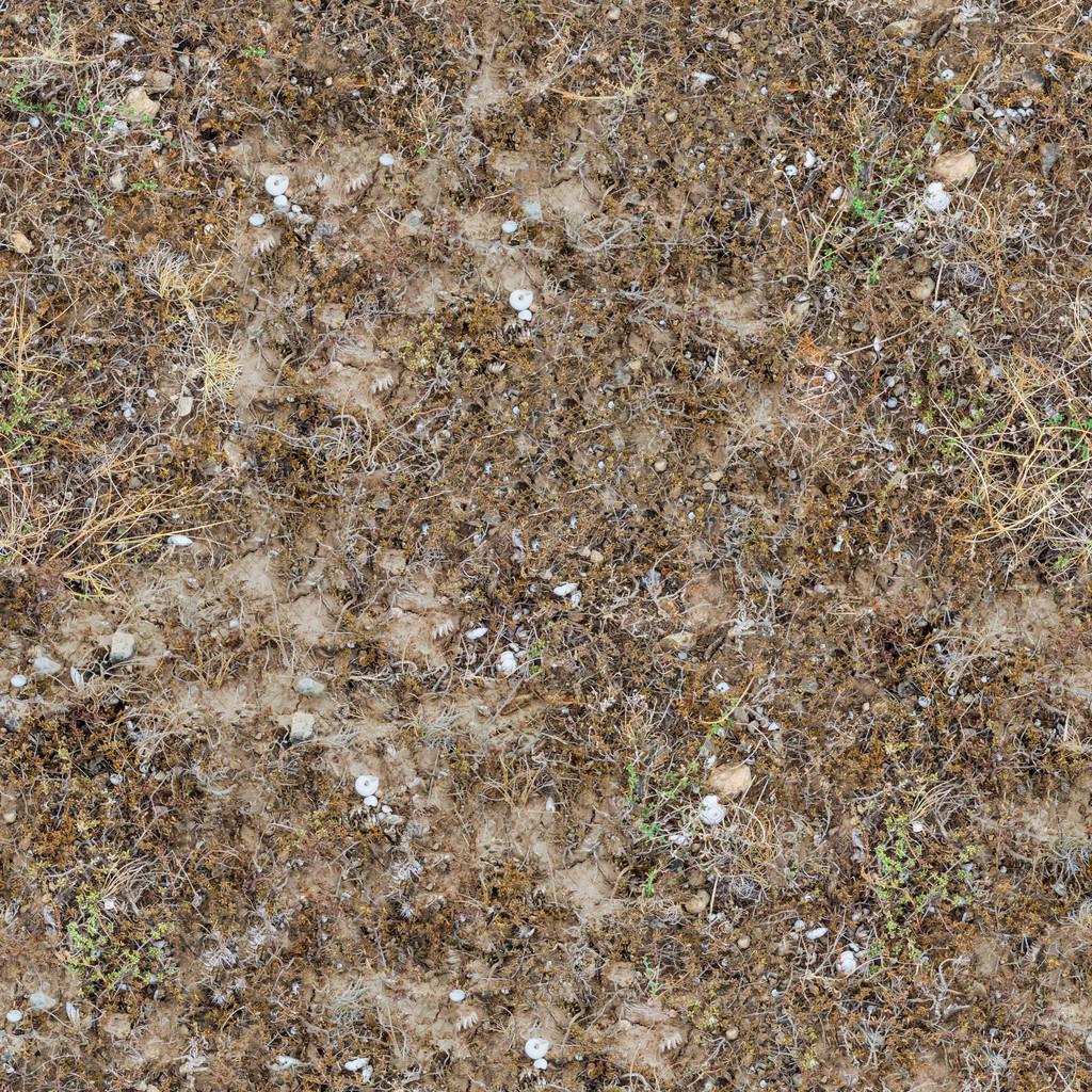 Seamless Texture of Prairie Soils. Stock Photo by ©tashatuvango 30897737