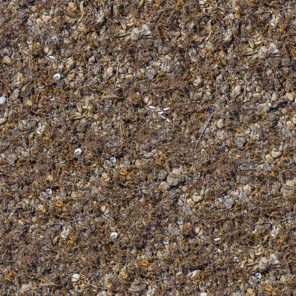 Seamless Texture of Rocky Soil. — Stock Photo © tashatuvango #31502247