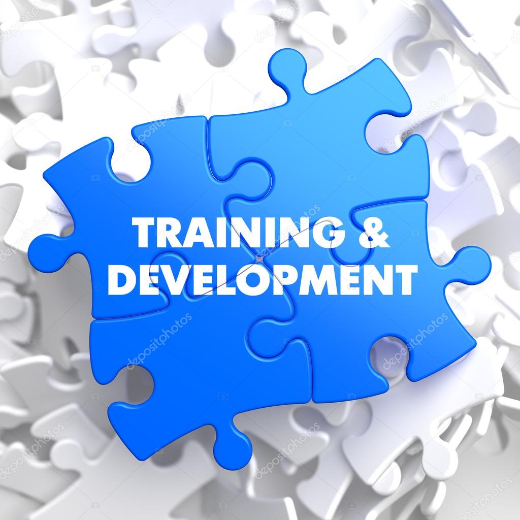 Training and Development. Educational Concept. — Stock Photo ...