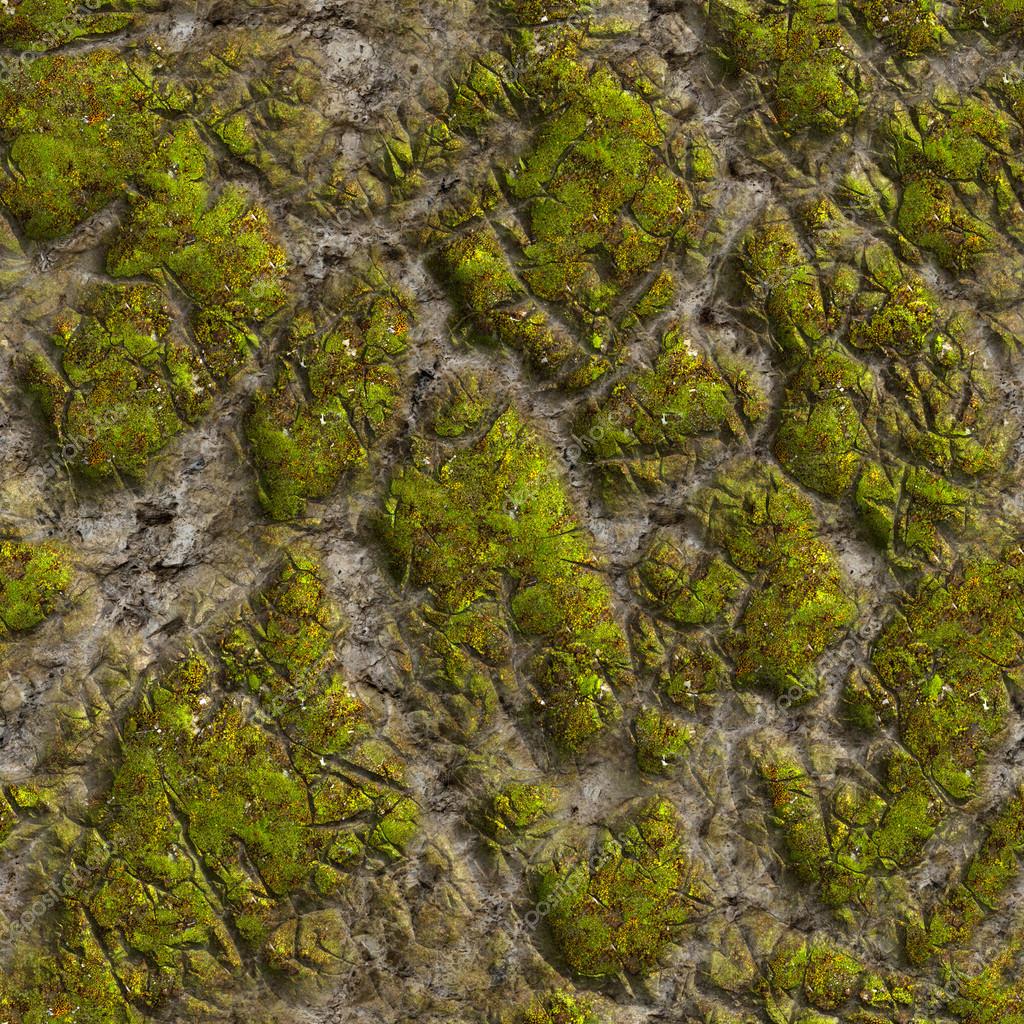 Mossy grass texture seamless - perylasvegas