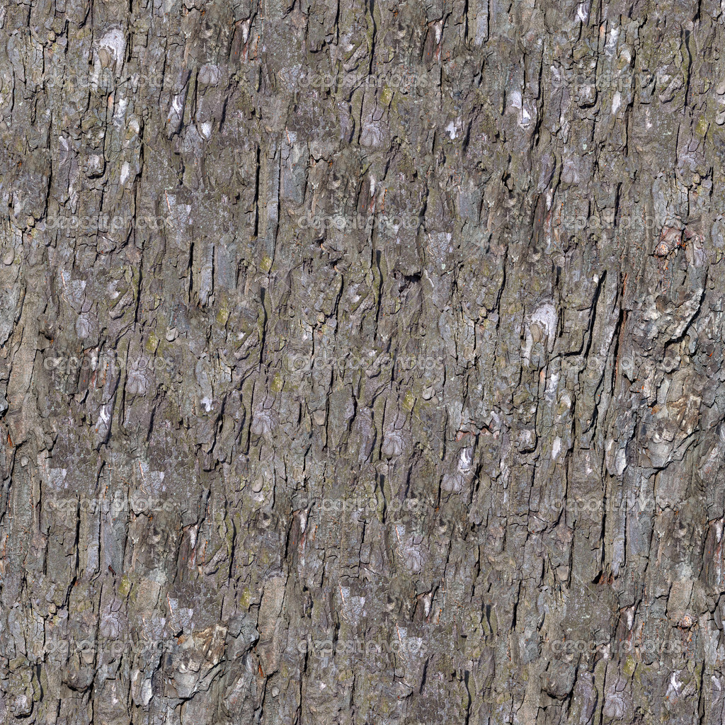 Pine Bark. Seamless Tileable Texture. — Stock Photo © tashatuvango ...